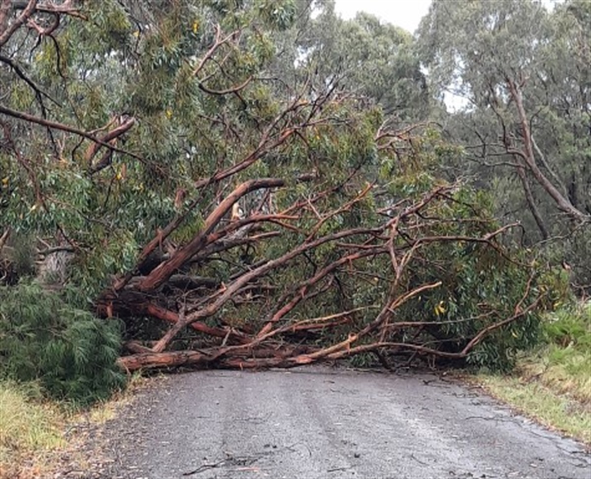 Clean up from recent storm event continues - Colac Otway Shire